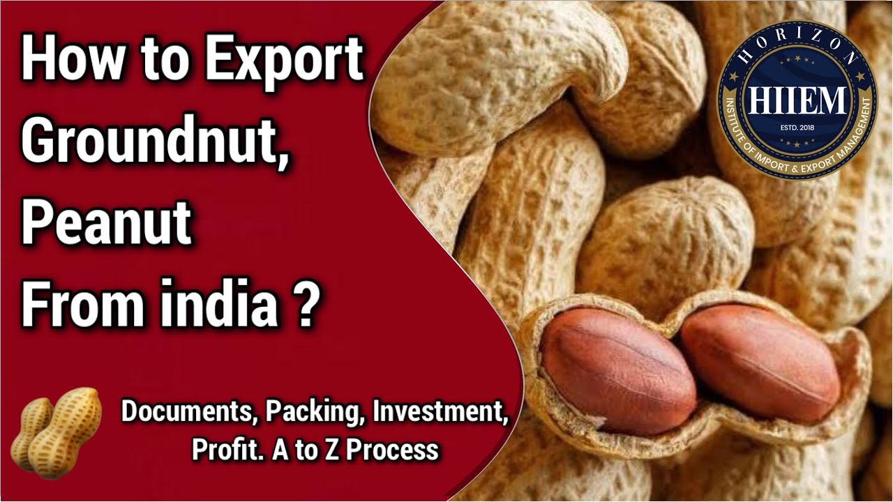 How to Export Groundnut, Peanut from india ? A to Z Export process By ...