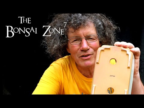 Zooming Through Life and Death, The Bonsai Zone, Part 3, June 2020