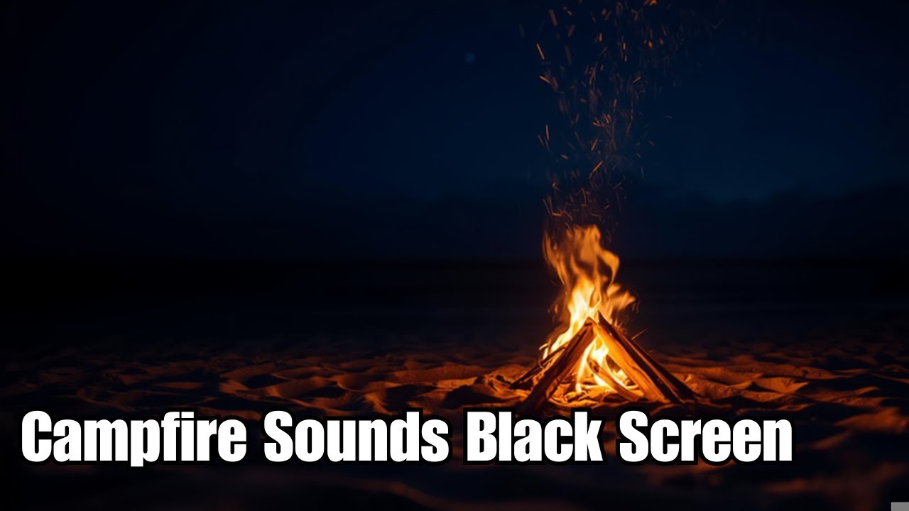 BLACK SCREEN | Beach Campfire & Ocean Waves Sounds 1 HOUR - YouTube