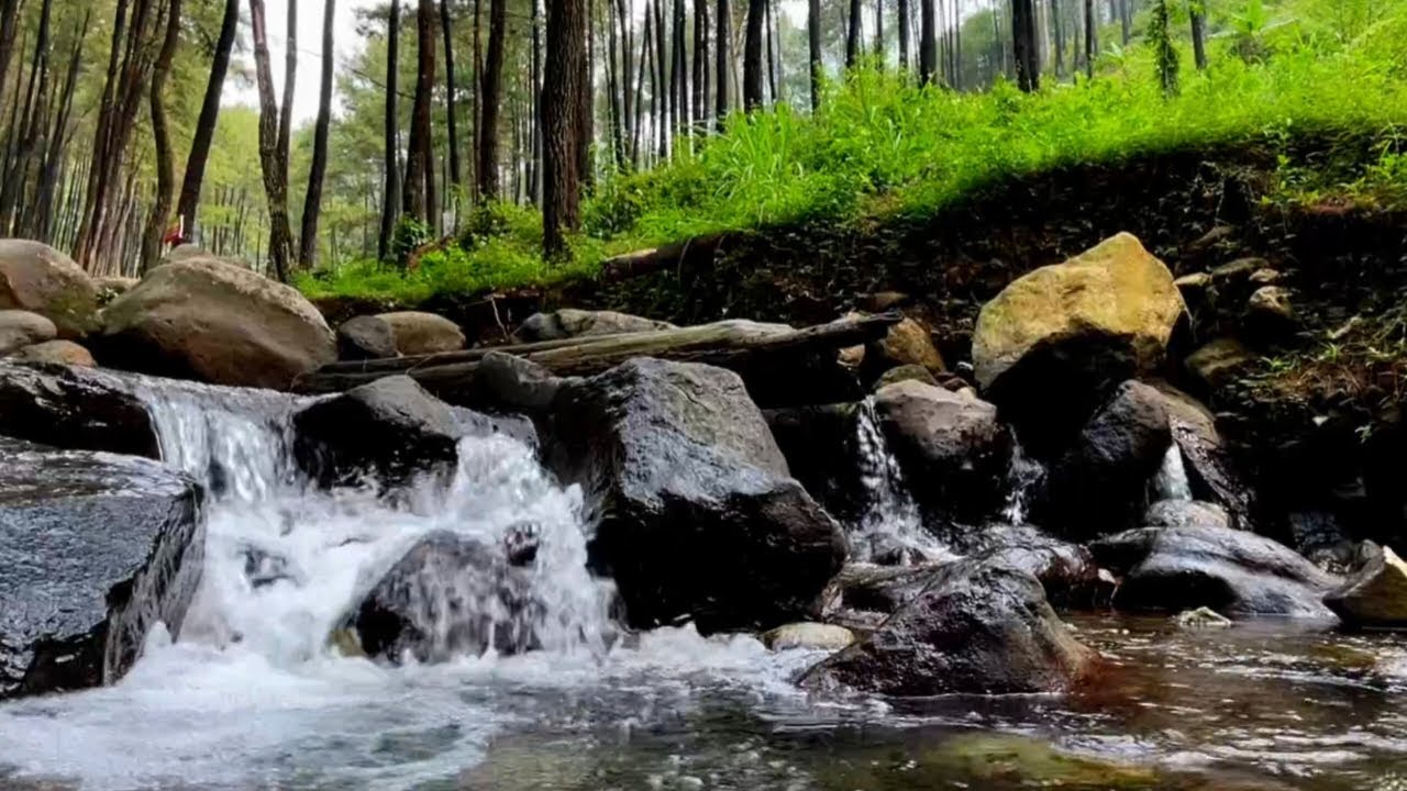 Relaxing Water Sounds: Peaceful River Stream Sounds to Ease Stress and ...