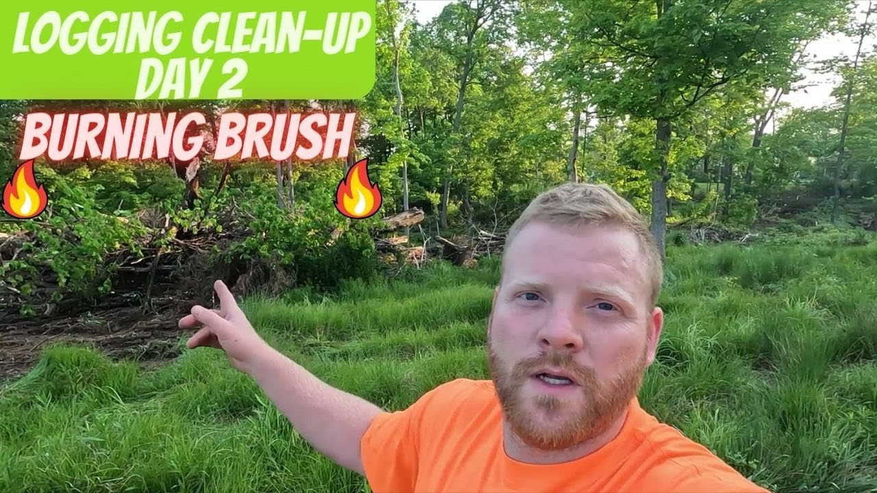 burning brush and land clearing day 2 - YouTube