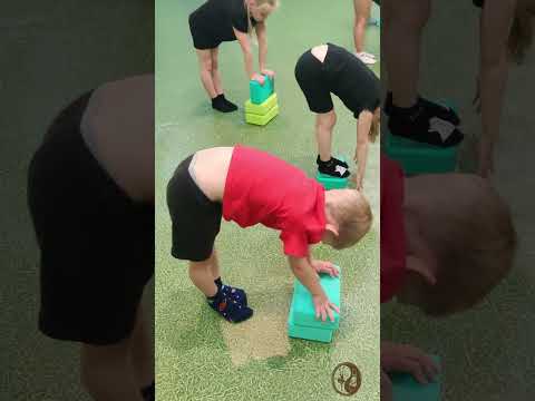 Урок гимнастики для детей 3-5 лет / Растяжка задней поверхности бедра / г. Ростов-на-Дону