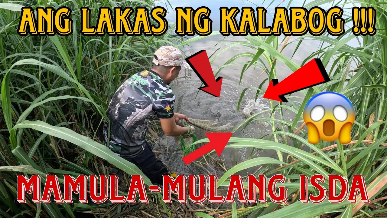Ang lakas kalabog ng mga isda kada angat nagwawala sila | mamula mulang ...
