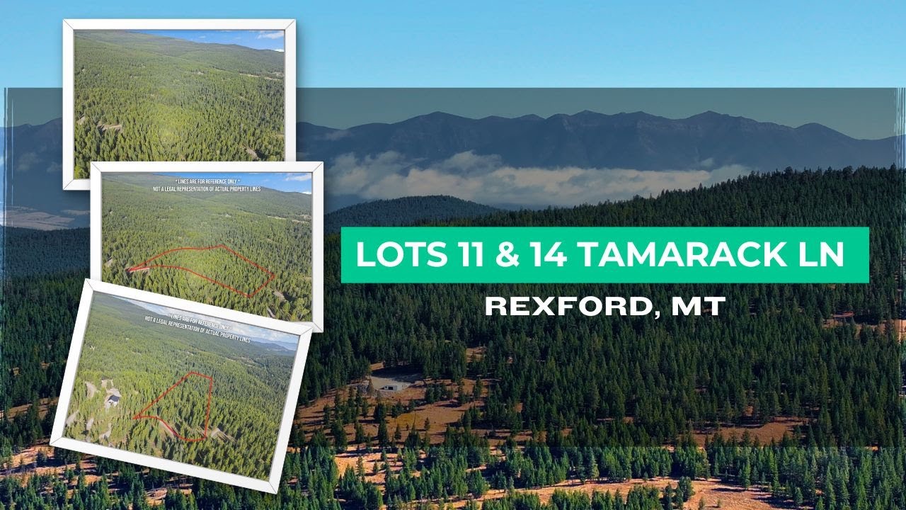 Stunning and Affordable Lots in Tamarack Estates || Rexford, MT ...