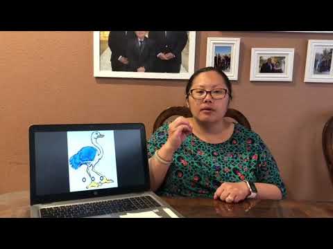 ABC Song and Sign Language with Ms. Vang - YouTube