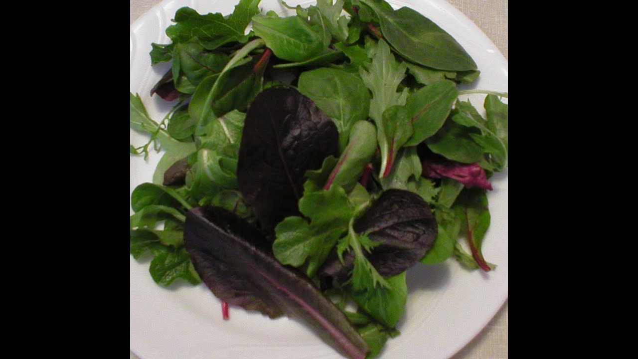 Spring Mix 101 - Herbs and Spices That Go Well with Spring Mix - YouTube