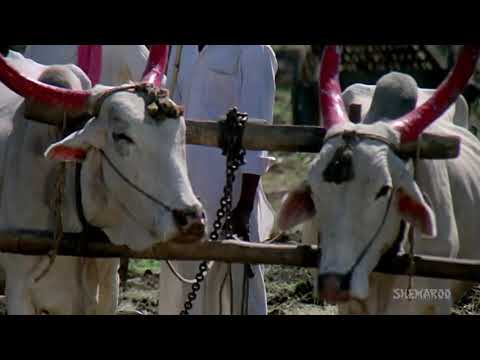 Dharni aaichi Maya Marathi song