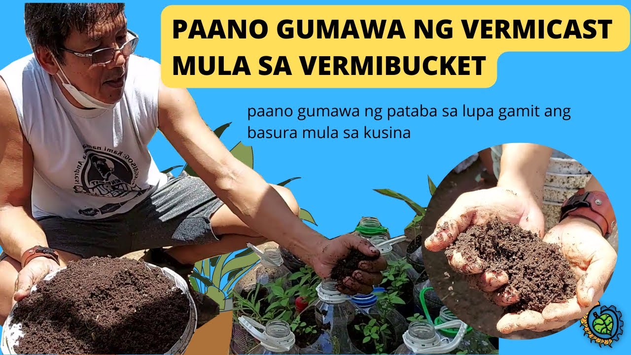 Paano gumawa ng VERMICAST gamit ang vermibucket - YouTube