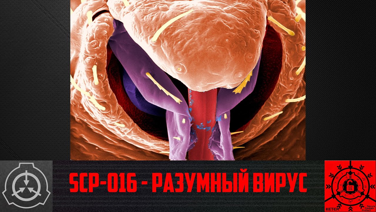 【СТАРАЯ ОЗВУЧКА】 SCP-016 - Разумный вирус - YouTube