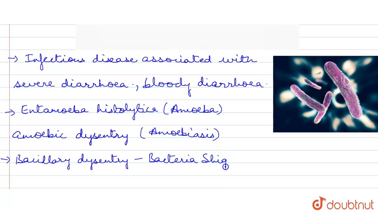 Name the pathogen that causes dysentery. | 12 | ORGANISMS AND ...