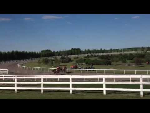 Horse Race at Bar None Ranches #2 - YouTube