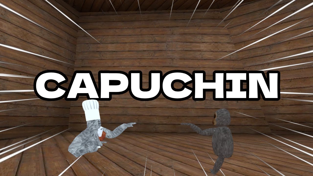 Capuchin Is CRAZY | Capuchin - YouTube