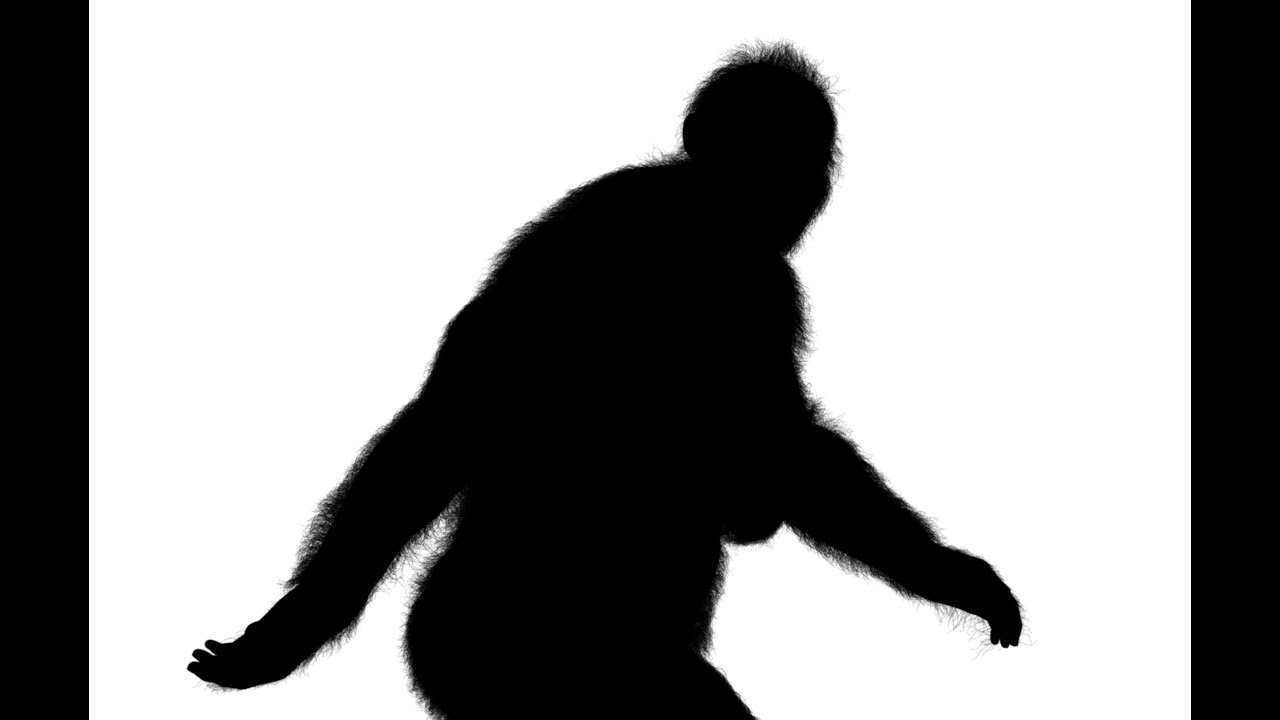 Patty's Path - Bluff Creek Bigfoot - YouTube