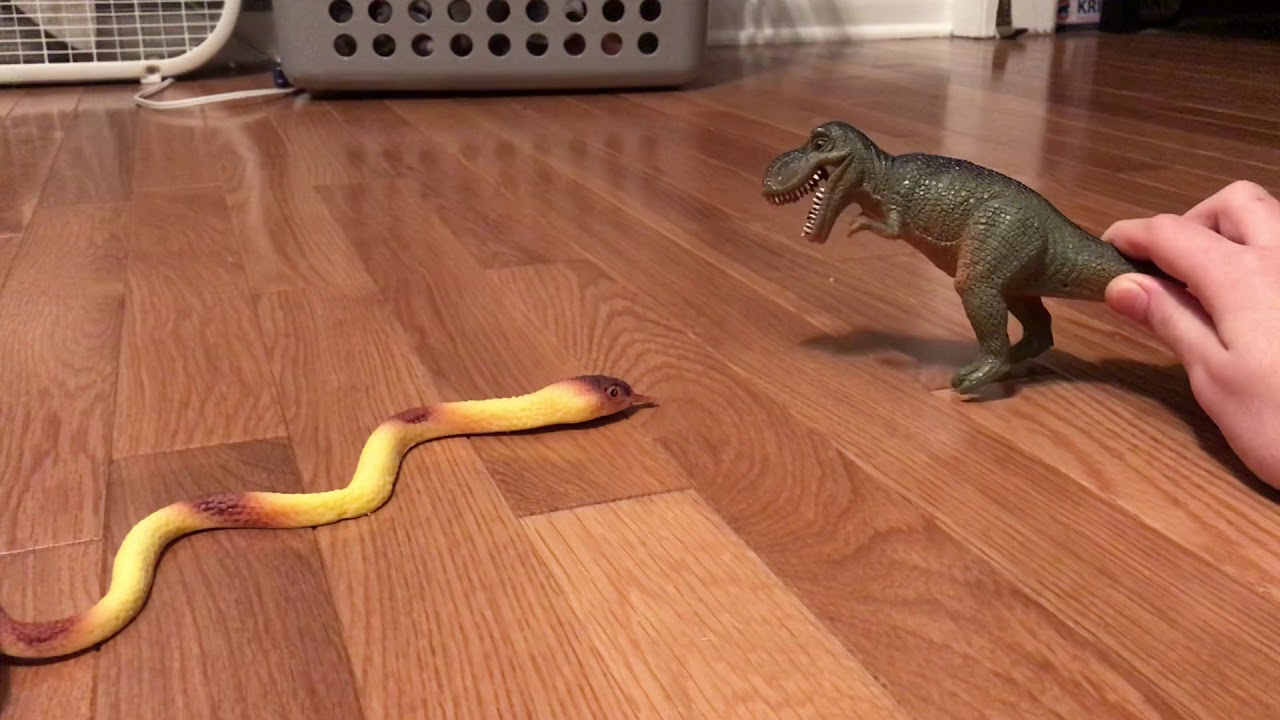 Dino vs. Snakey - YouTube