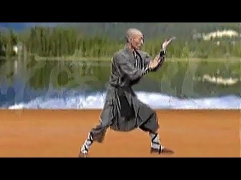 Shaolin kung fu luohan 18 hands - YouTube