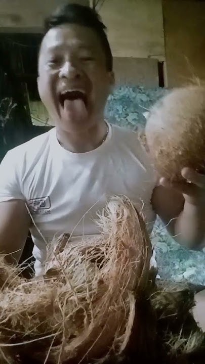 Dennis blog don't forget to follow for more videos thank you very much and all god bless - YouTube