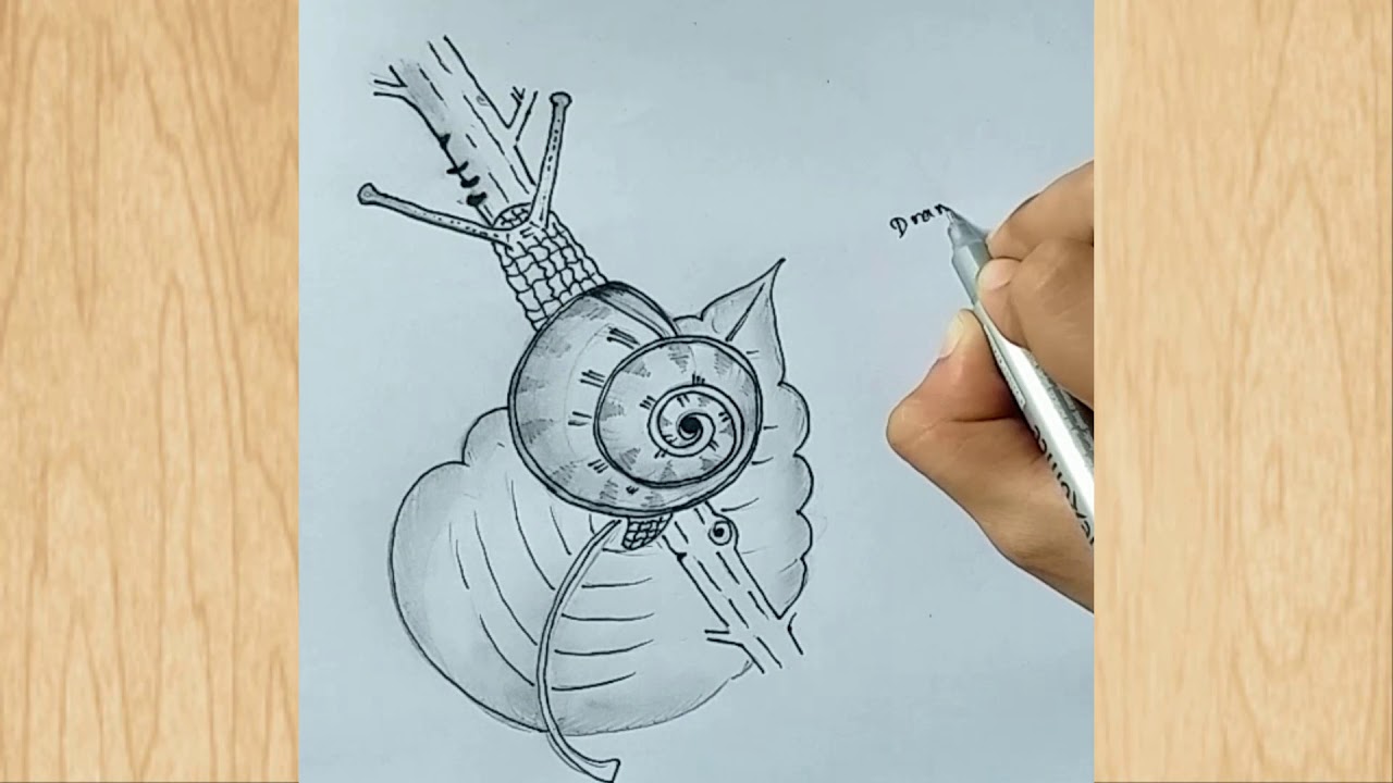 drawing video satisfying,drawing videos 3d,drawing videos realistic ...