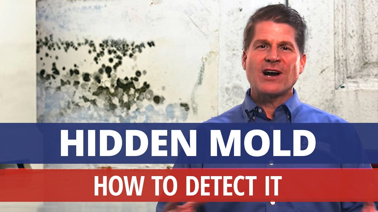 Mold Growth After Water Damage or Flooding | Rainbow Restoration - YouTube