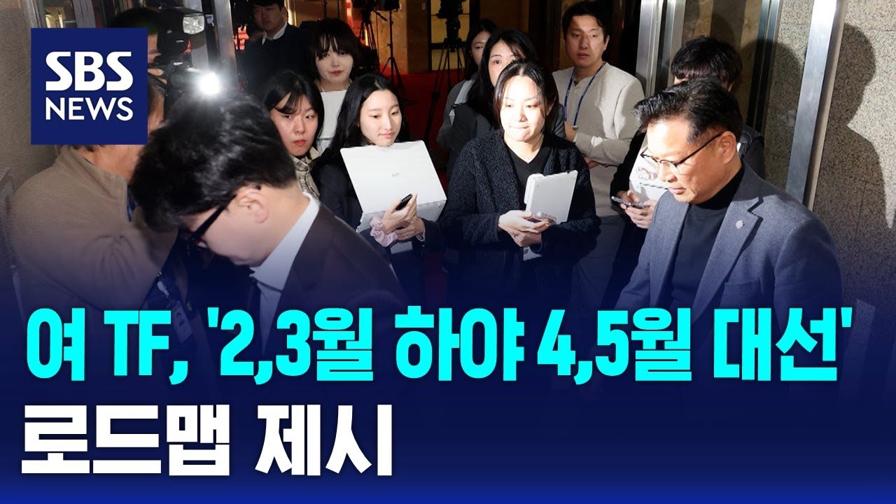 여 TF, '2,3월 하야 4,5월 대선' 로드맵 제시 / SBS - YouTube