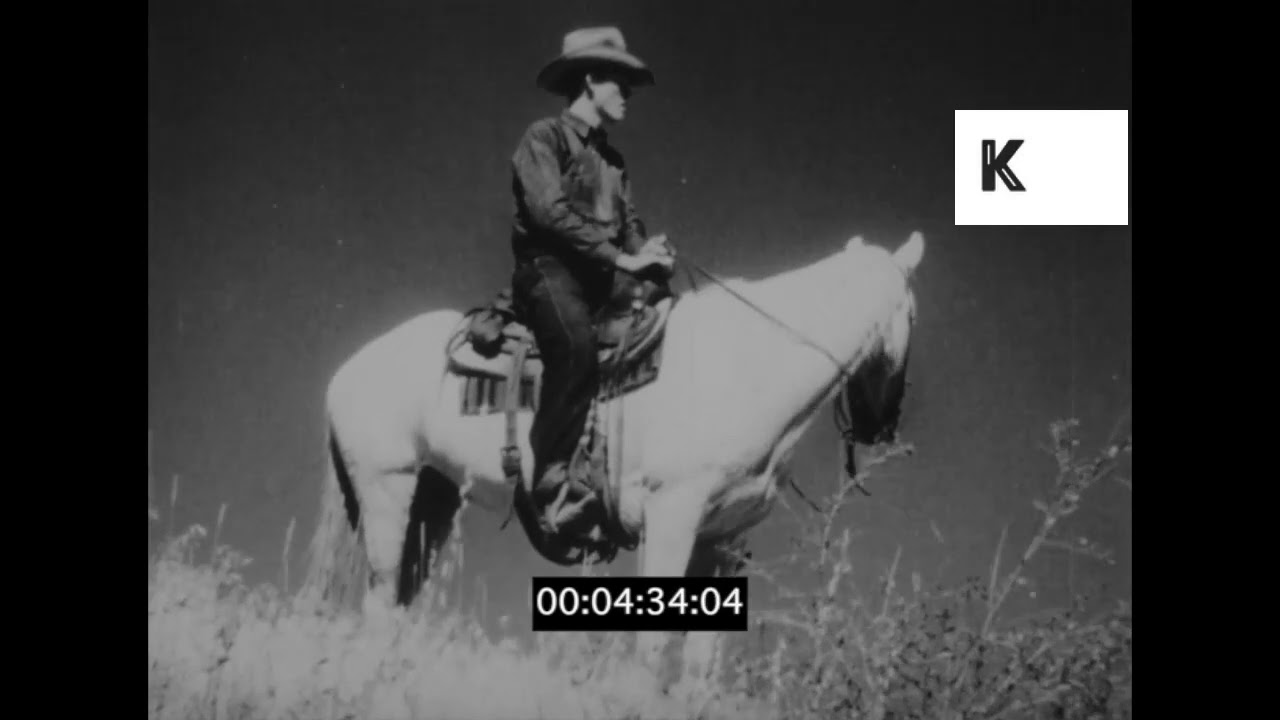 1930s US Midwest, Cowboy Rancher Herding Cattle, Great Plains, 16mm ...