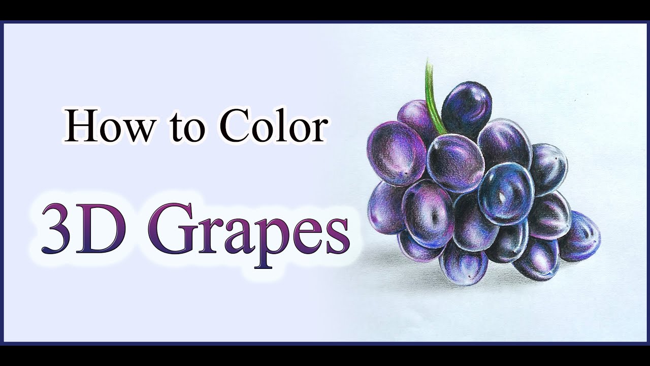 3D Grapes | How to Color Grapes | How to draw and color grapes | Grapes ...