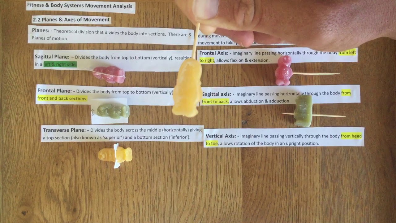 Edexcel GCSE PE 2.2 Planes & Axes of Movement - YouTube