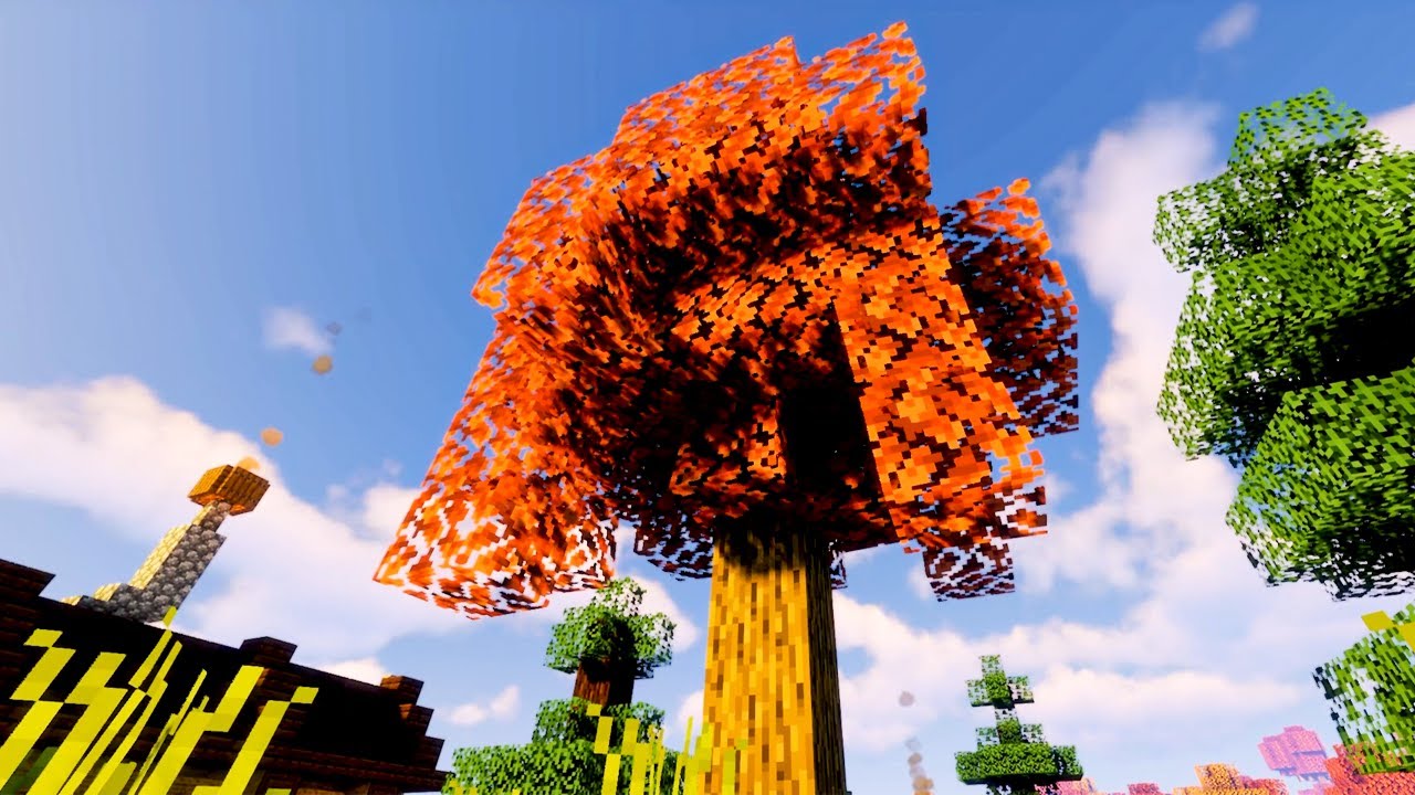 CHILL FALL VIDEO - YouTube