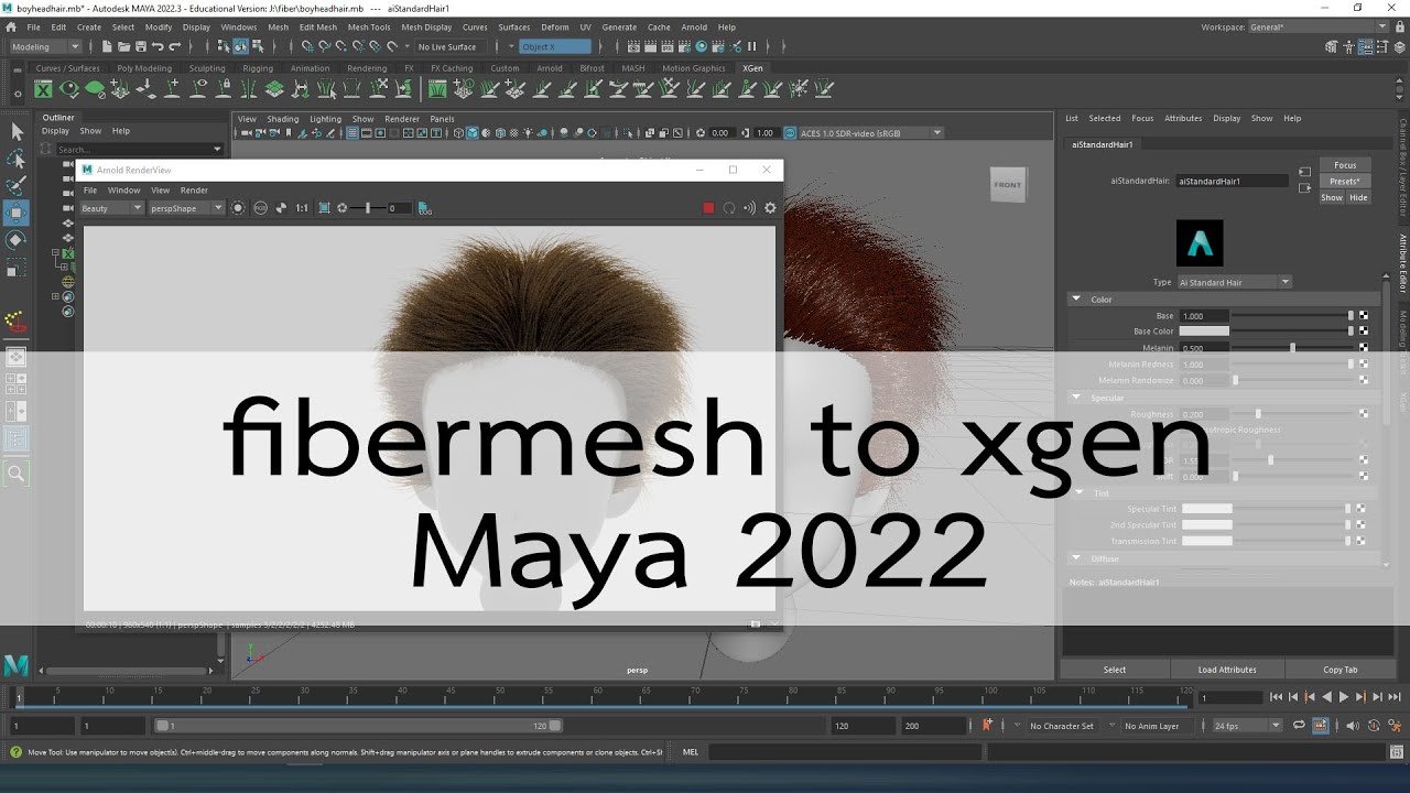 Fibermesh to Xgen Maya 2022 - YouTube