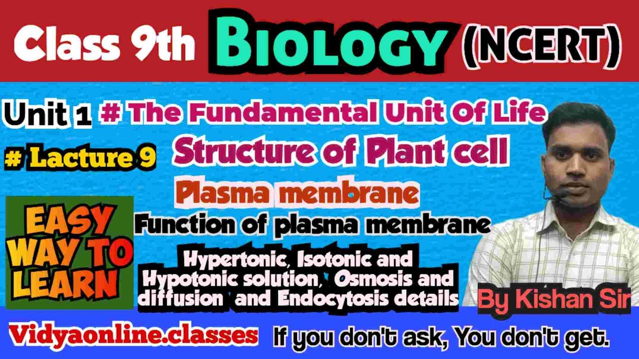 Lecture#9 || Plant cell || Plasma membrane|| Function of plasma ...