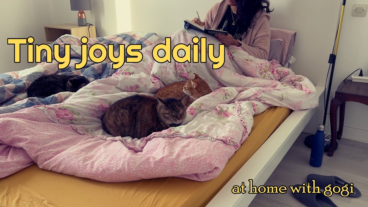 🌼Tiny joys daily: Little things that bring us happiness | ordinary days| - YouTube