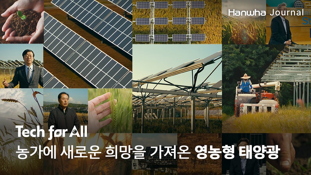 [Tech for All] 농가에 새로운 희망을 가져온 영농형 태양광 - YouTube