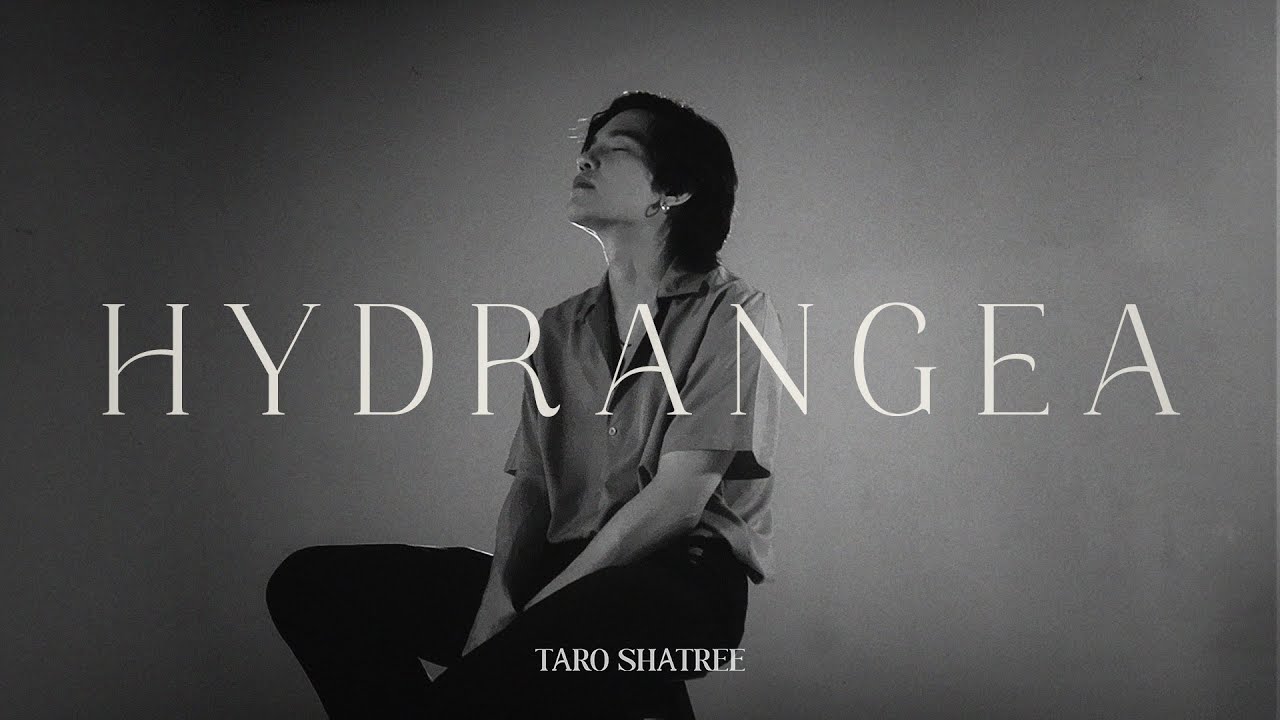 TARO SHATREE - Hydrangea (ไฮเดรนเยีย) [Official Video] - YouTube