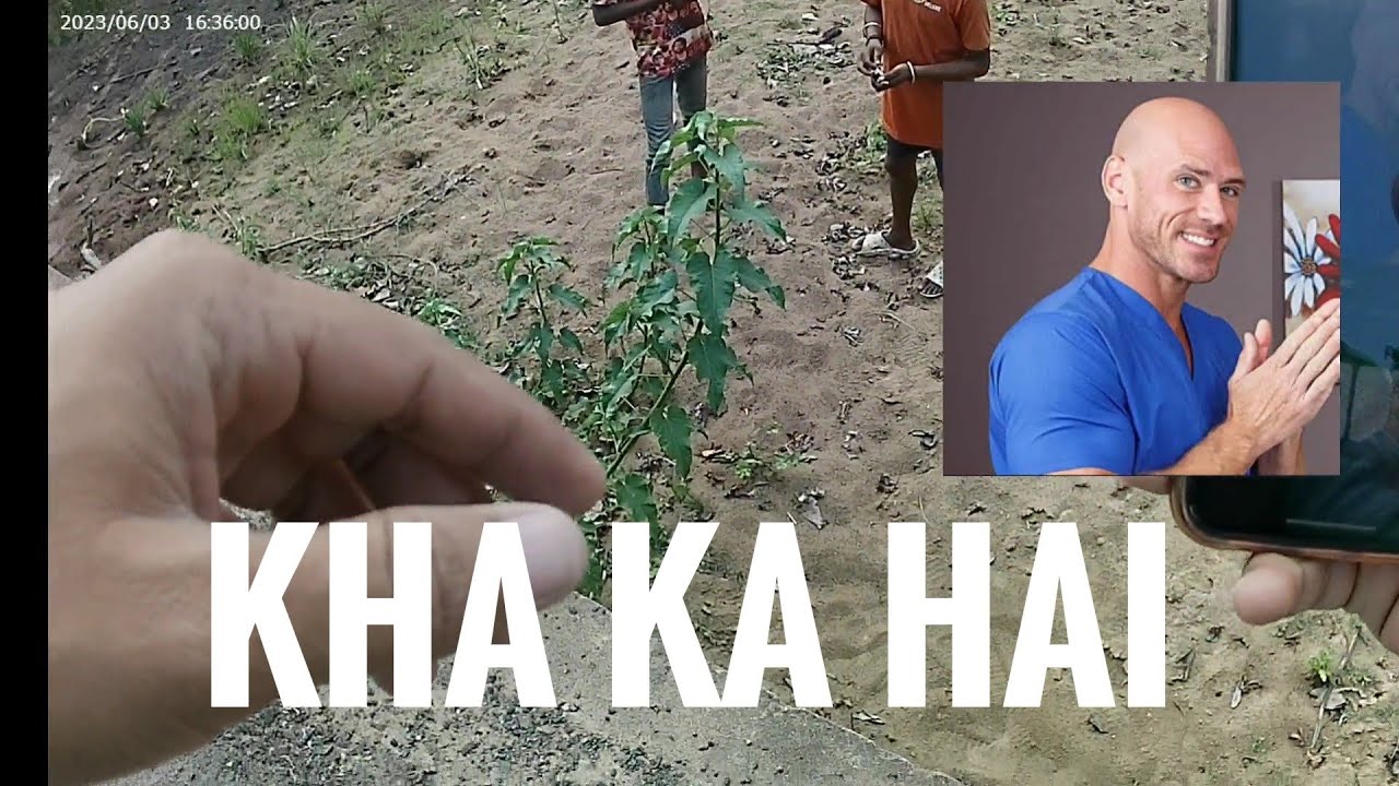 Johnny Sins ko jante ho reaction 😂😂@ZeroOneRider - YouTube