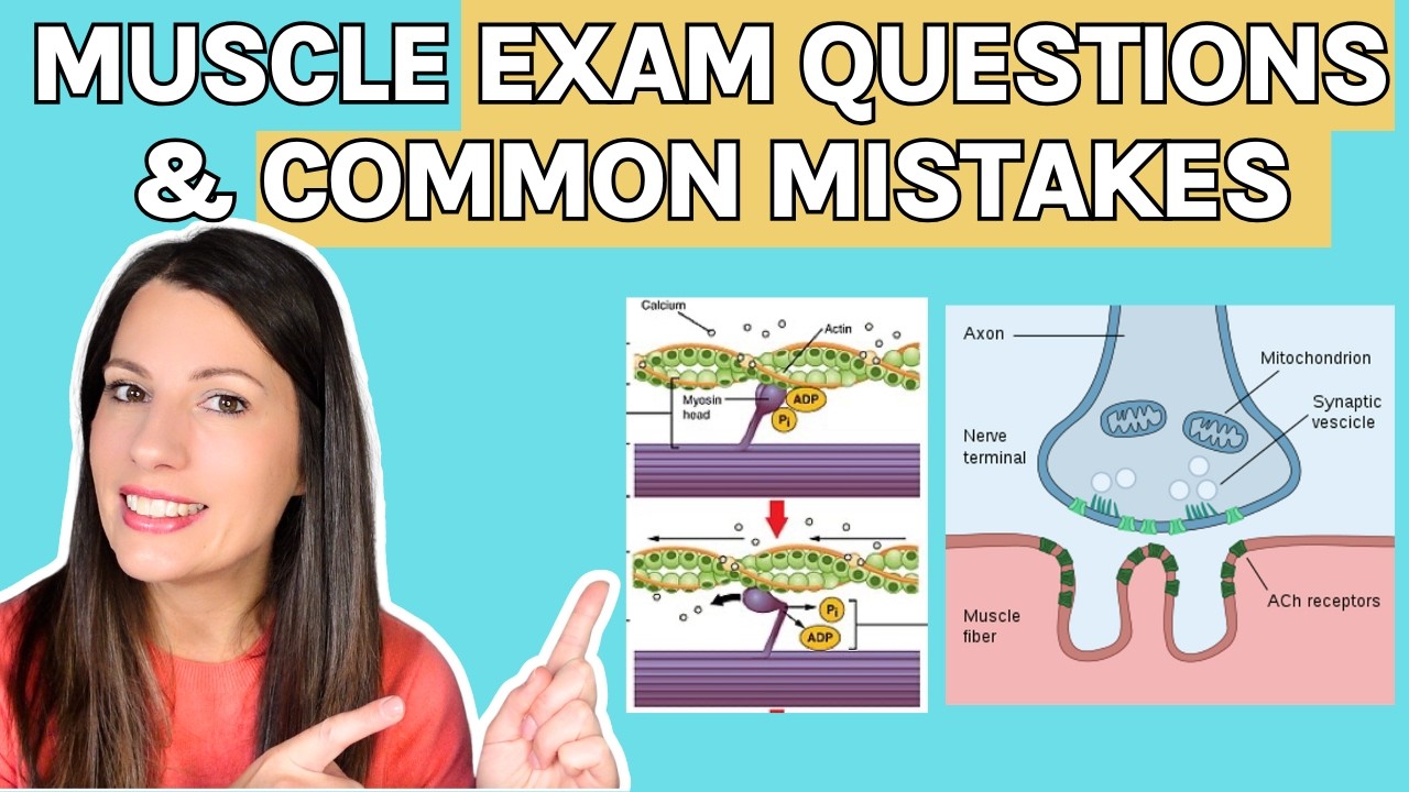 Neuromuscular Junction & Muscle Contraction EXPLAINED (AQA A-Level ...