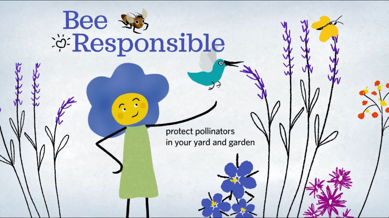 Apply Responsibly | Bee Responsible Short - YouTube