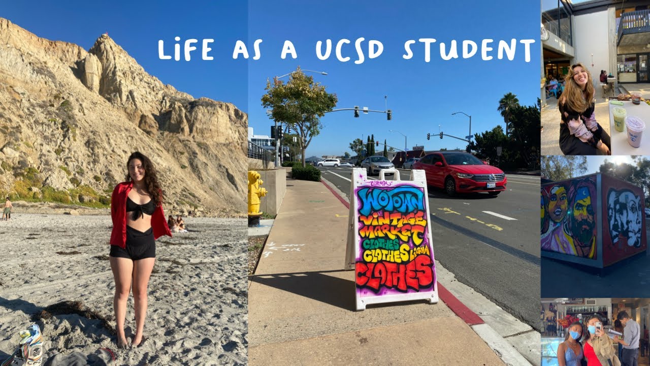 life as a ucsd student | black's beach, wotown vintage market, ché café ...