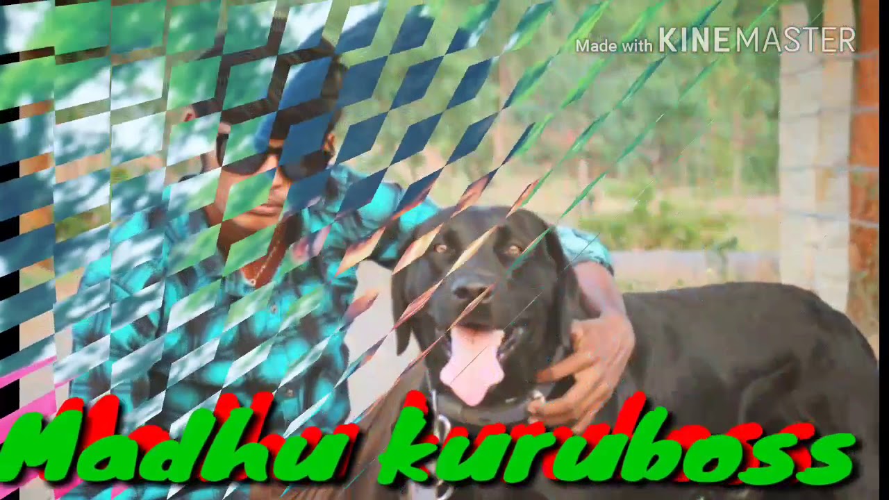 Gaja movie song - YouTube