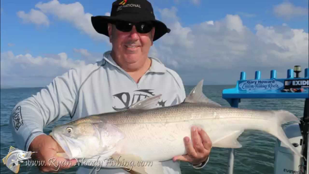 Fish Frames Boxy's Hinchinbrook Threadfin Fishing Trip - YouTube