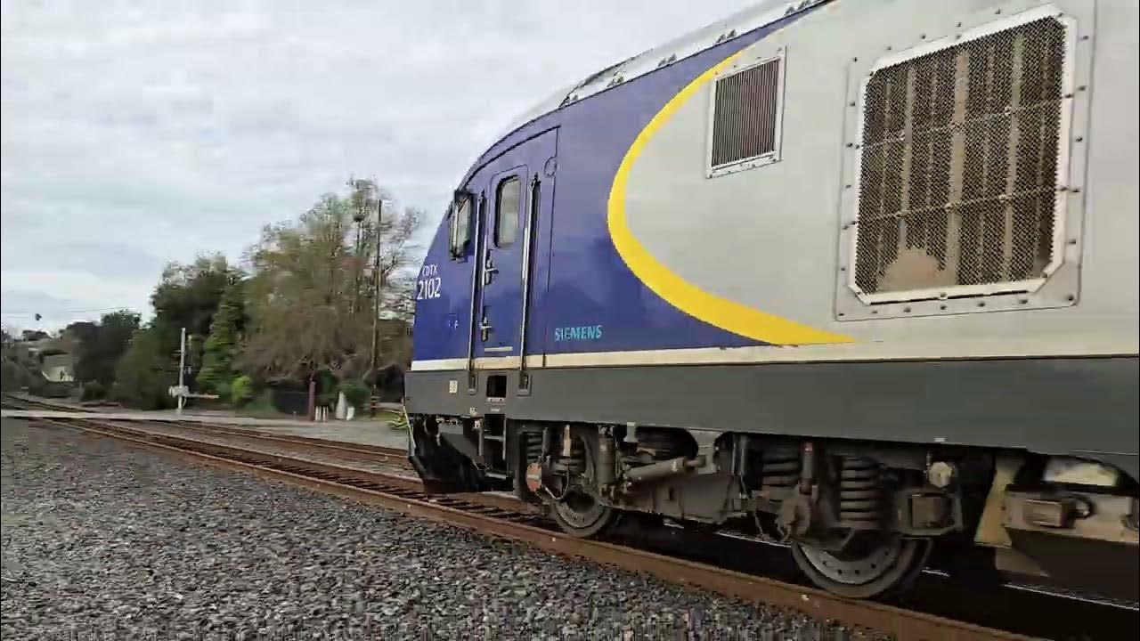 Late Amtrak Capitol Corridor #729 at Bayfront Park with CDTX #2102 SC-44 and #8305 Cab Car - YouTube