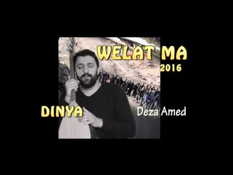 DINYA  Deza Amed