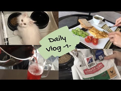 Günlük Vlog | Sessiz Temizlik | ASMR Rutin Ev İşleri | Reyhan ve Hibiskus Şerbeti | Kedimiz Sütlaç