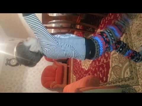 Əli-Yandi Canim