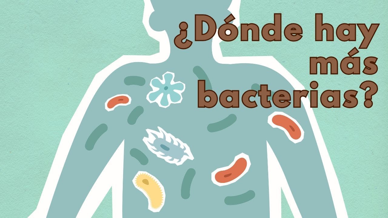 🦠 🧫 ¿Cuál es la PARTE del CUERPO HUMANO que tiene MÁS BACTERIAS? 🦠🧫 ...