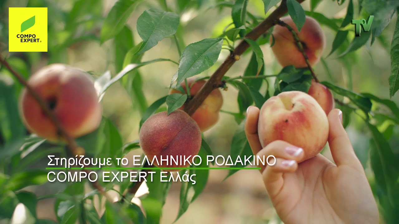 ΣΤΗΡΙΖΟΥΜΕ ΟΛΟΙ τους ΕΛΛΗΝΕΣ ΠΑΡΑΓΩΓΟΥΣ και τα ΕΛΛΗΝΙΚΑ ΑΓΡΟΤΙΚΑ ...