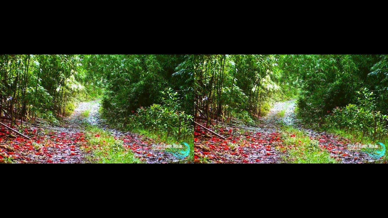 Youtube 3D, 3D Videos, Real 3d, Nature Scene, Hawaii 3d N°7 - YouTube