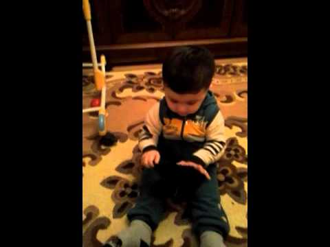 NİCAT BALAM BAL BALAM