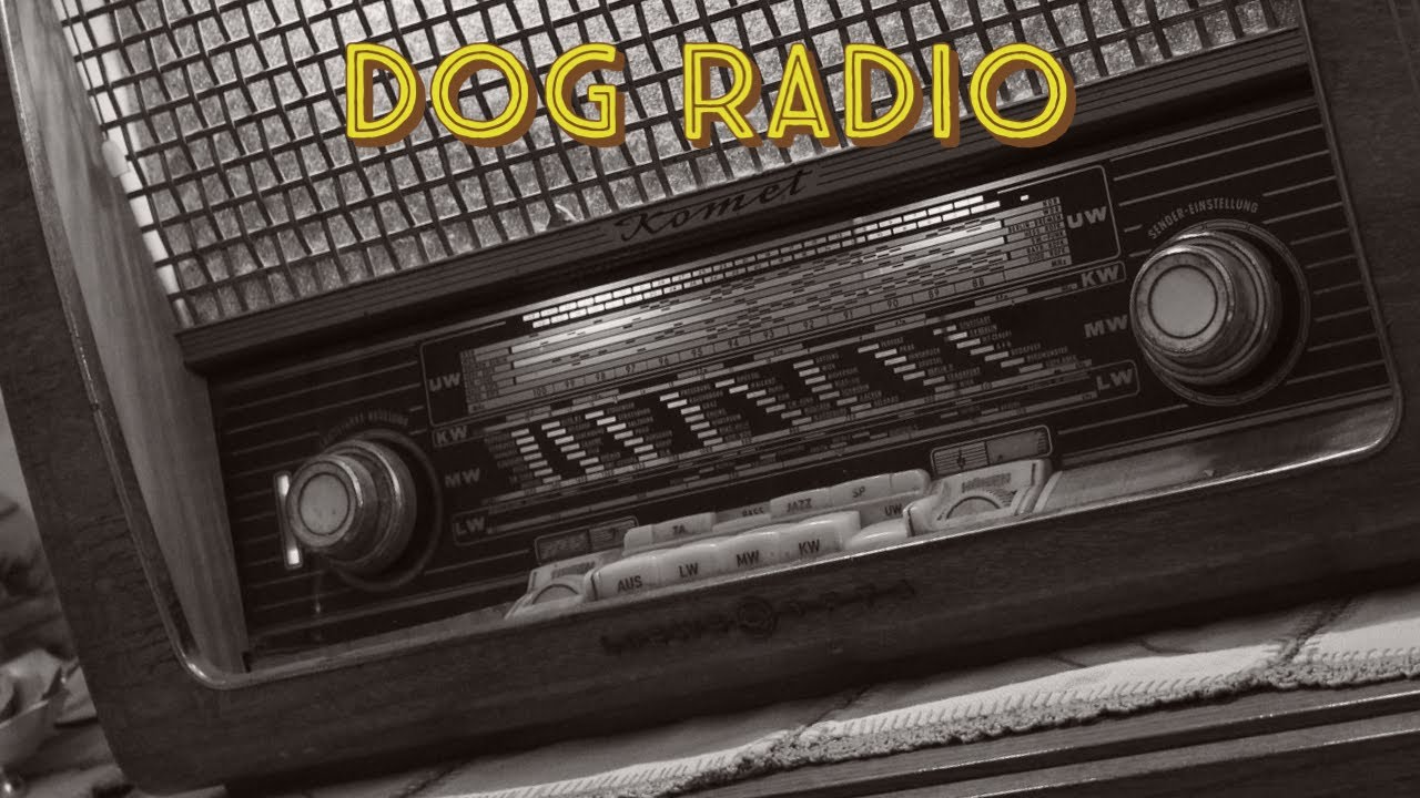 Dog Radio - YouTube