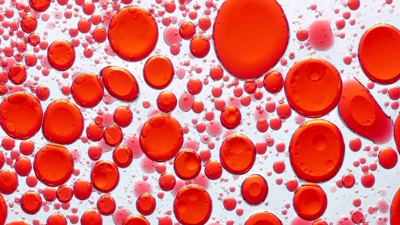 BLOOD DEFICIENCY, BLOOD STASIS, BLOOD HEAT, HEMORRHAGE IN TCM - YouTube