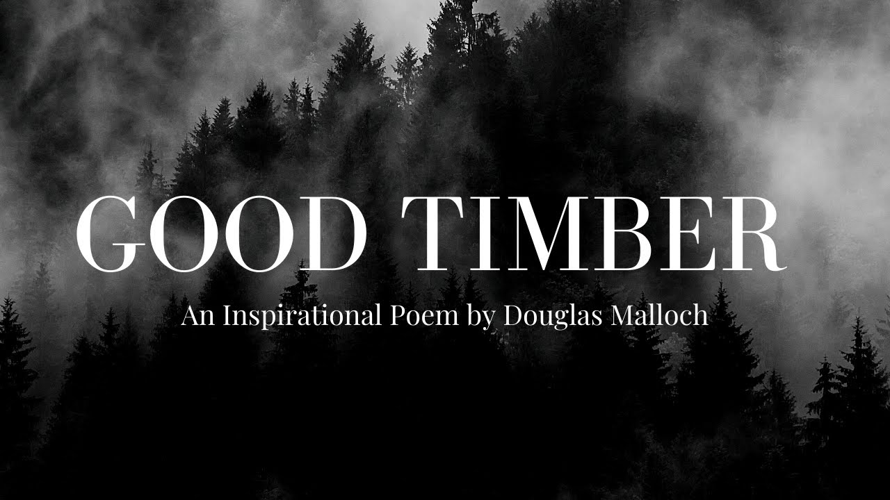 Good Timber by Douglas Malloch - An Inspirational Poem For Hard Times ...