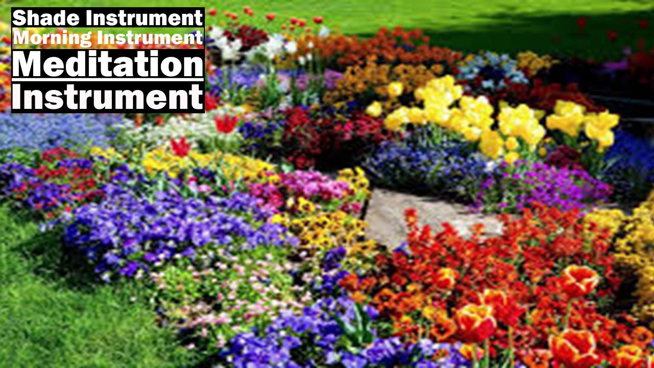 Relaxing Instrument Morning Instrument Meditation Instrument Shade ...